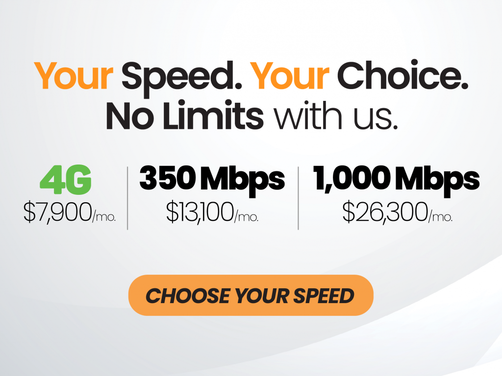 E-Networks – TV, Internet & Media Solutions