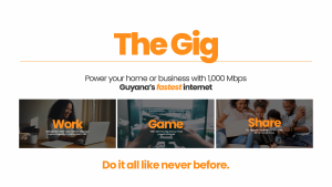 Internet – E-Networks