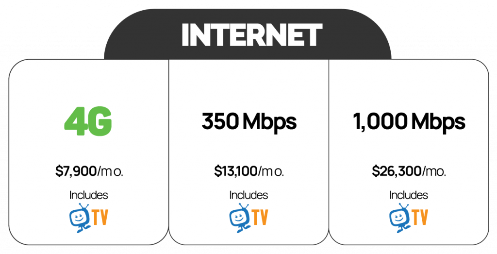 E-Networks – TV, Internet & Media Solutions