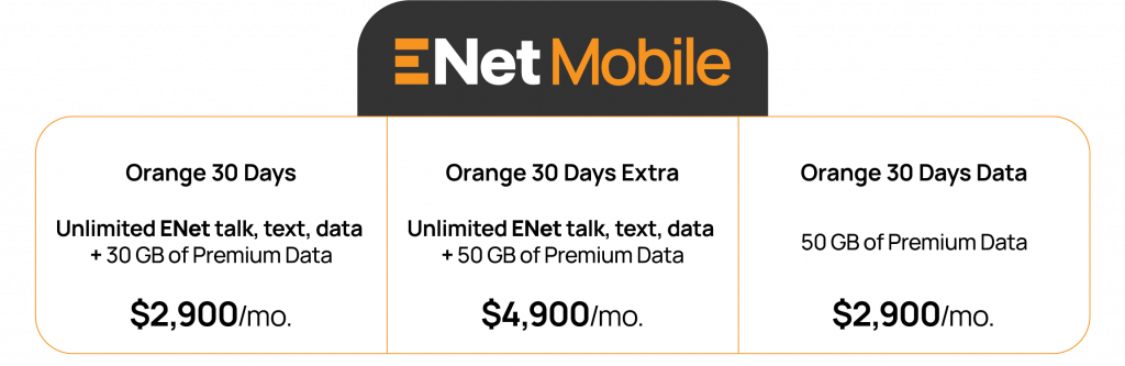 E-Networks – TV, Internet & Media Solutions