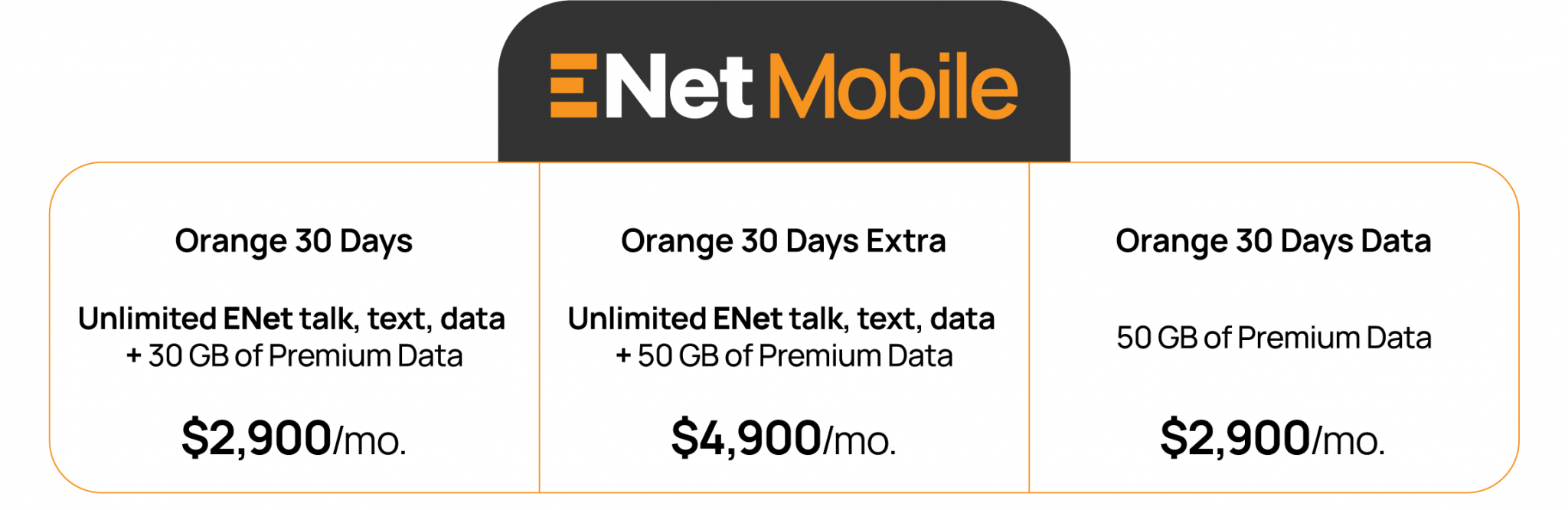 E-Networks – TV, Internet & Media Solutions