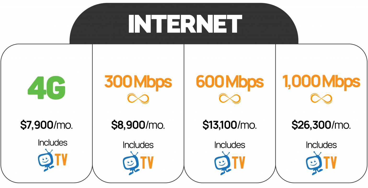 E-Networks – TV, Internet & Media Solutions