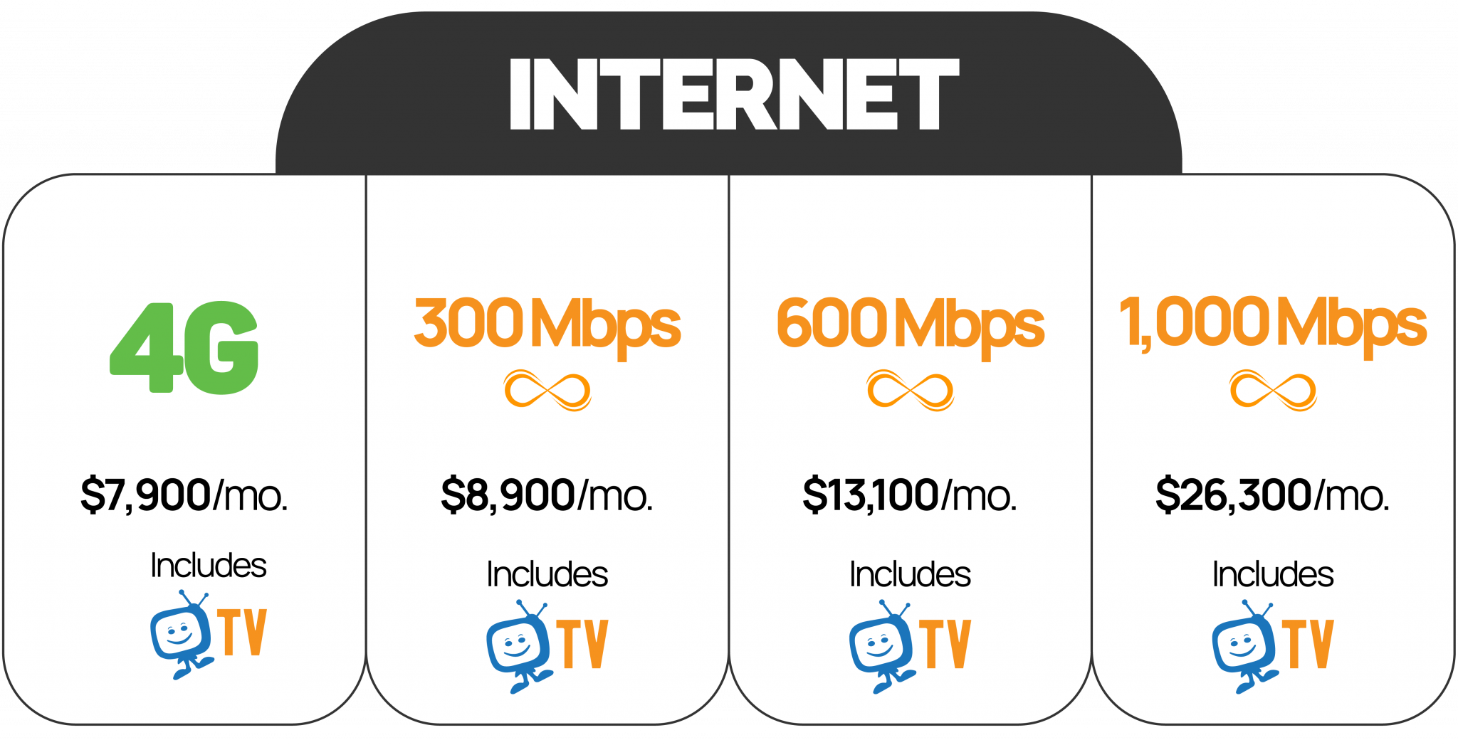 E-Networks – TV, Internet & Media Solutions