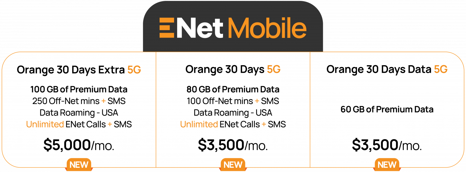 E-Networks – TV, Internet & Media Solutions