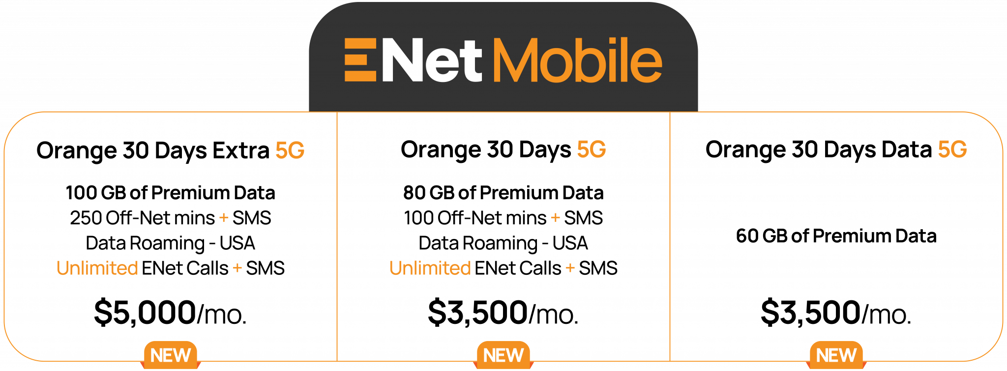 E-Networks – TV, Internet & Media Solutions